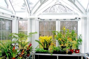 Greenhouse Irrigation - Solar Innovations