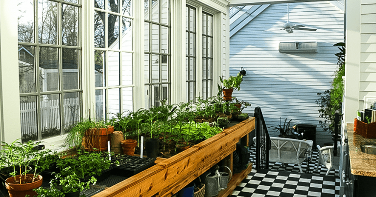 Propagation Greenhouses - Solar Innovations